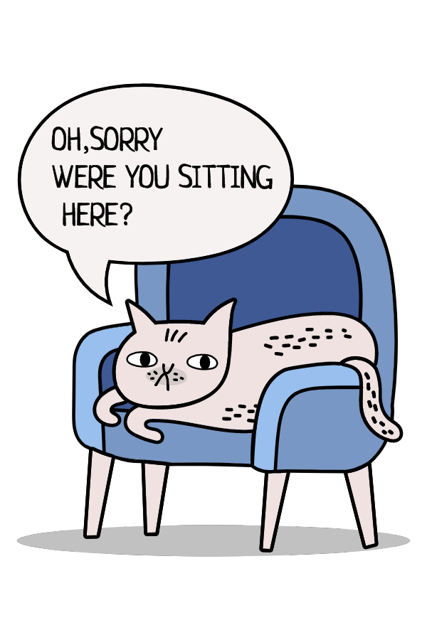 Cat Took the Chair Sticker - Sticker Mania