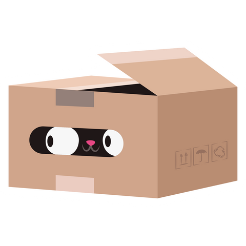 Black Cat in the Box Sticker - Sticker Mania